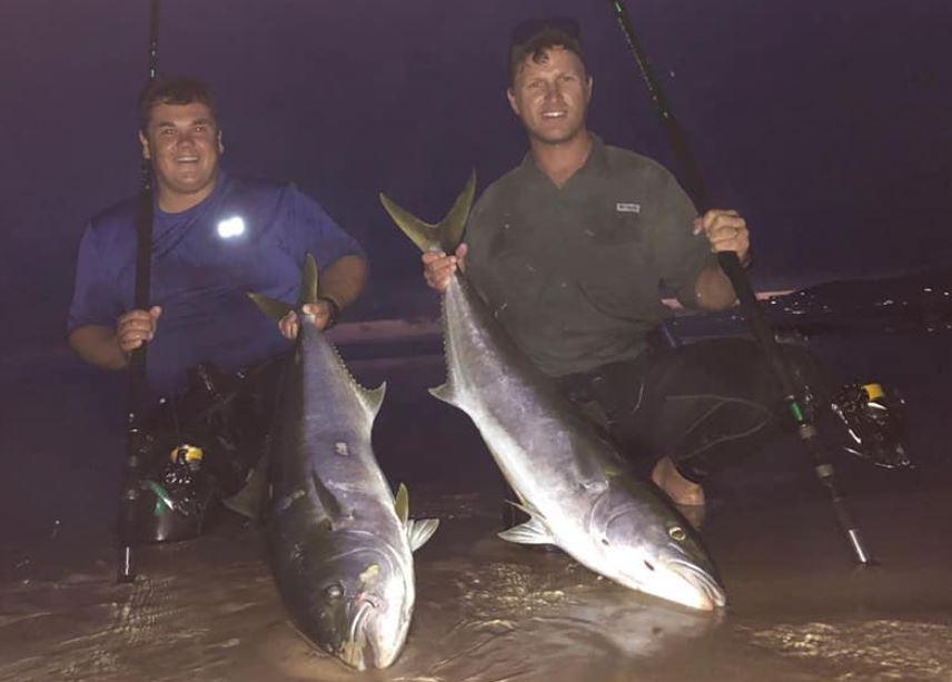 Big Yellowtail from the Shore! – Stil Fishing