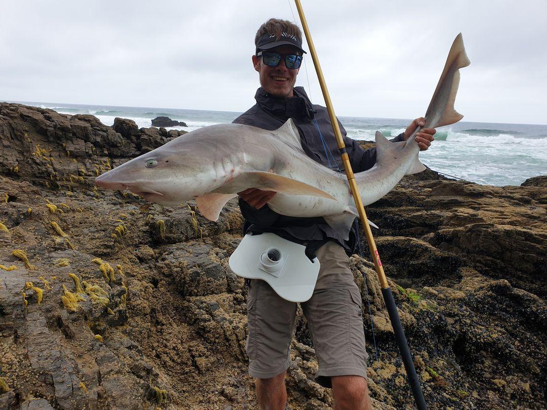 GOLDEN – Stil Fishing