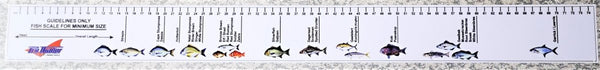 Fish Measurement Sticker – Stil Fishing